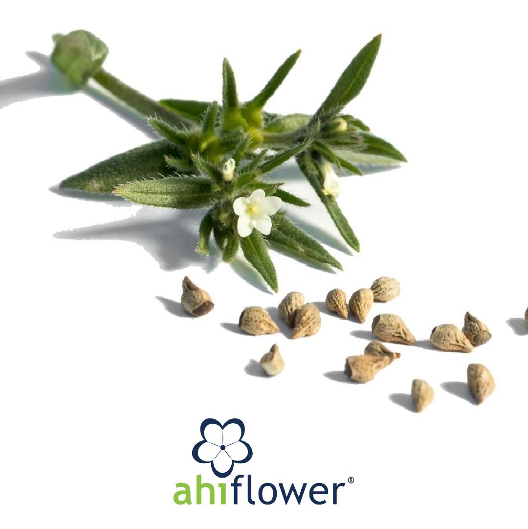 Omega Vegano AHIFLOWER - The Mix Superfoods