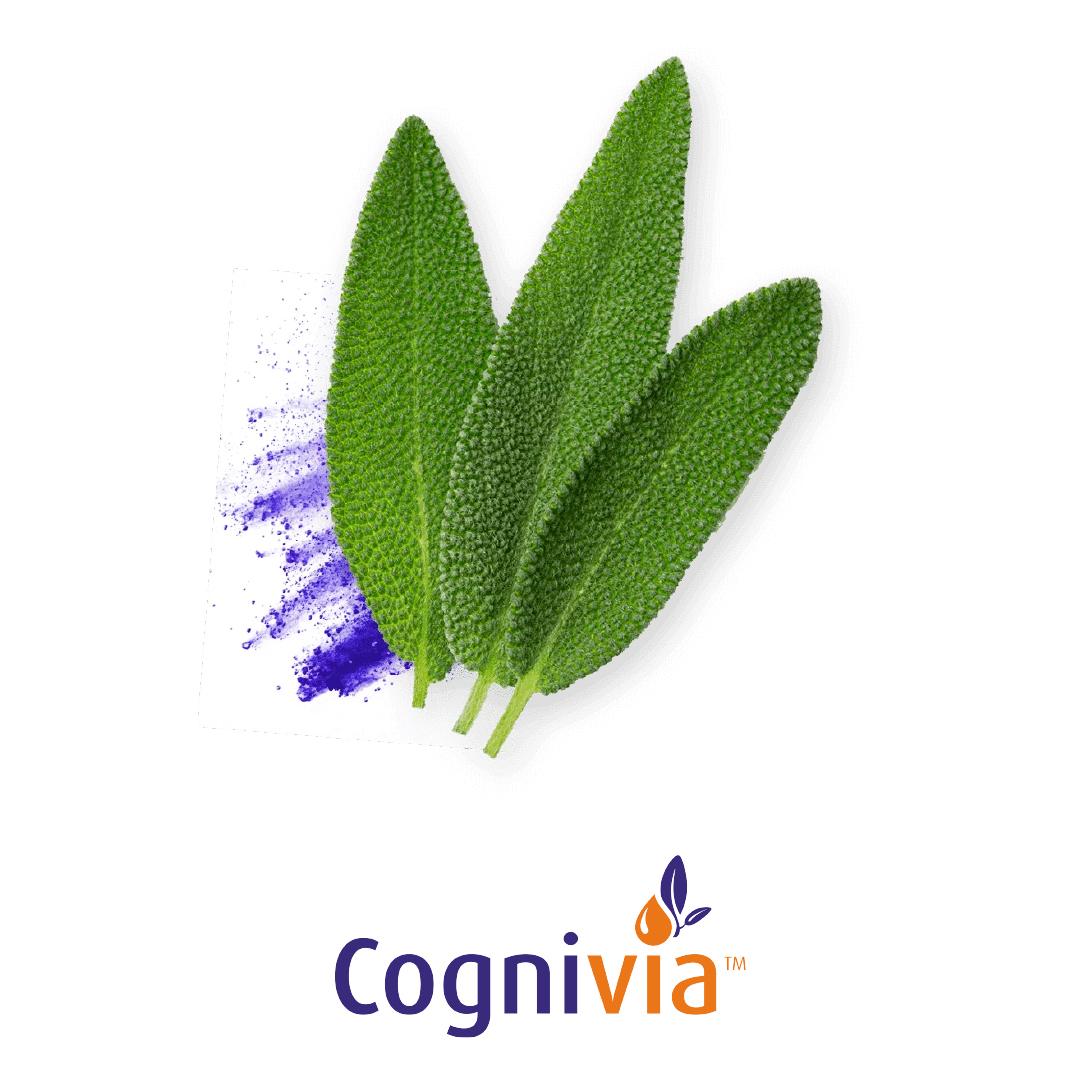 ¡Descubre el Secreto Natural para una Piel Radiante y Articulaciones ...